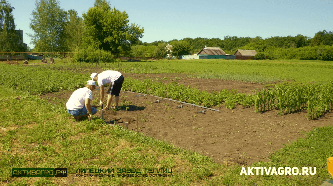 Теплицы из поликарбоната в Липецке, купить у производителя по оптовым ценам